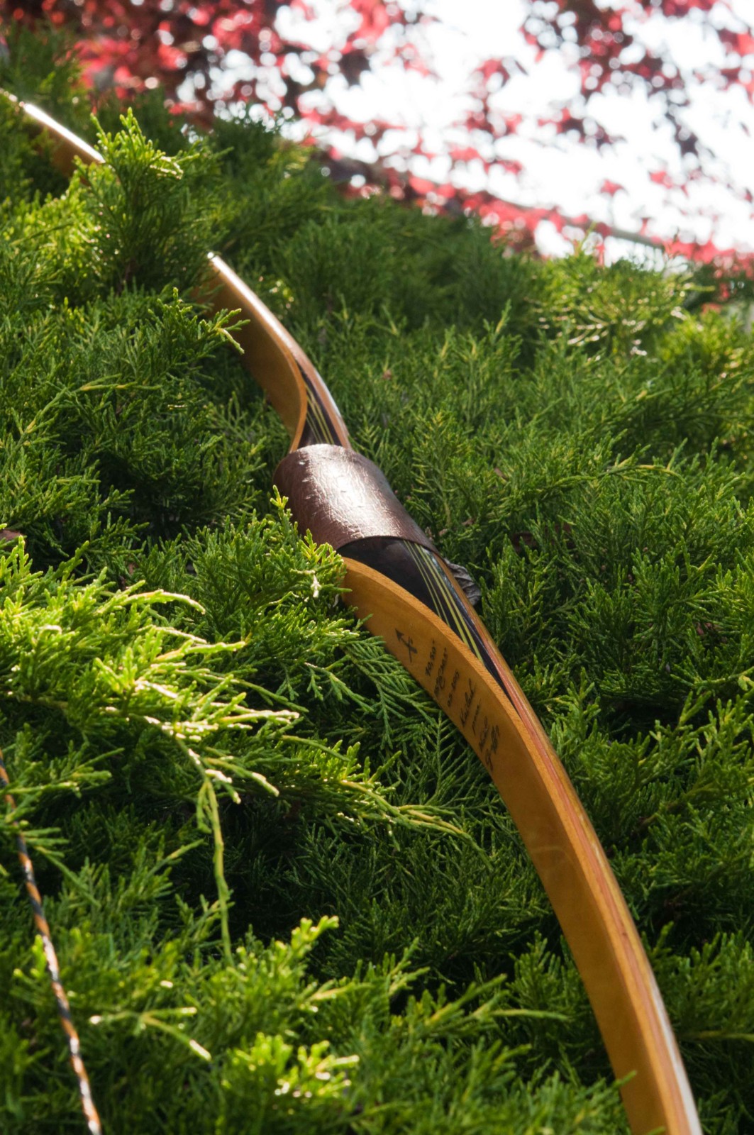 Arcs - L'Atelier d'Arcs